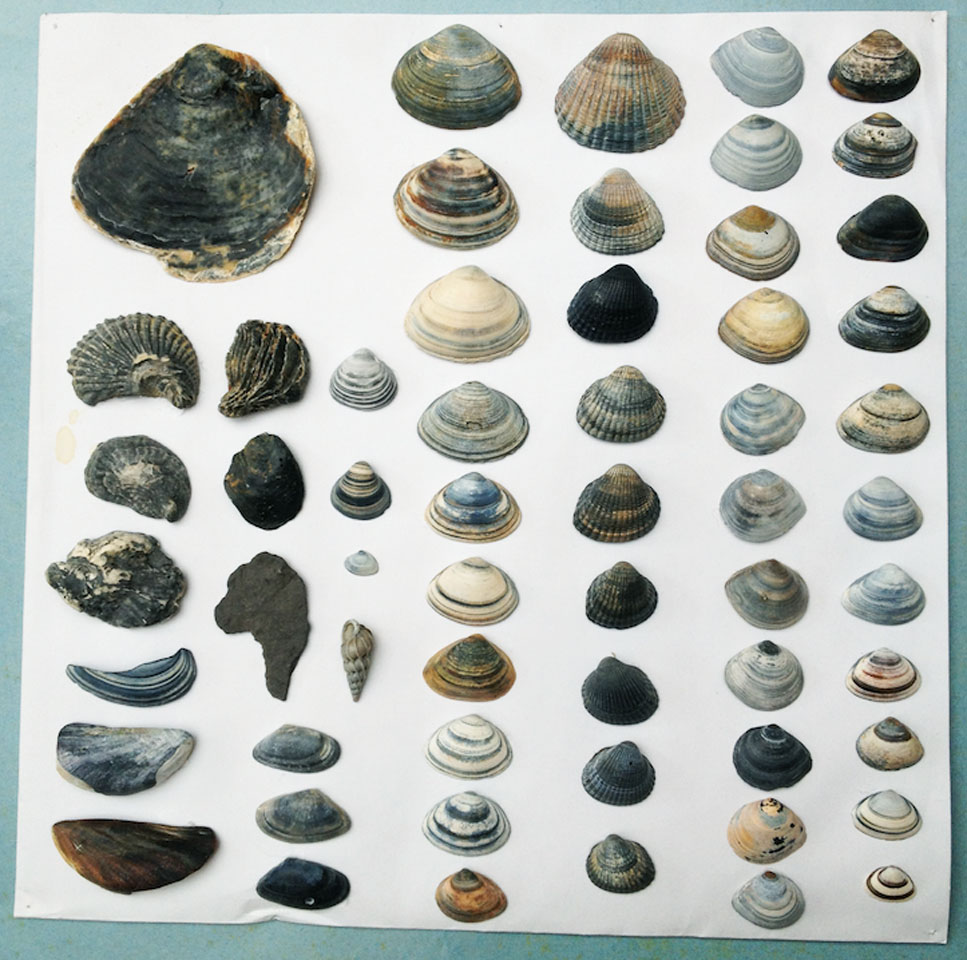 Inspiration. Beach collections. | Pauline van Lynden